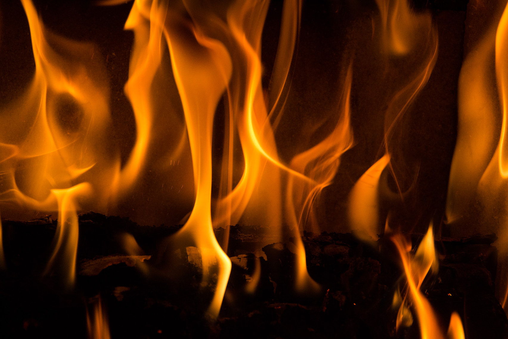 The Deep Passion on Fire for Purpose in this Dimension – The Beautiful ...